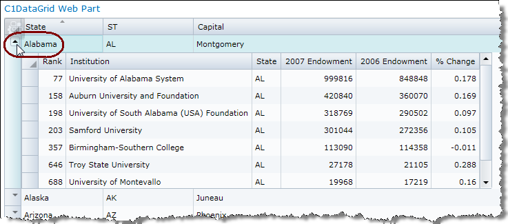 Creating a Hierarchical (Master-Detail) Grid